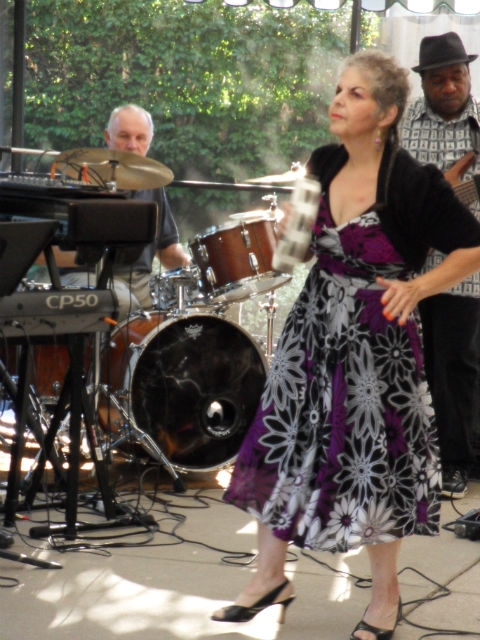 Image Gallery - Albums